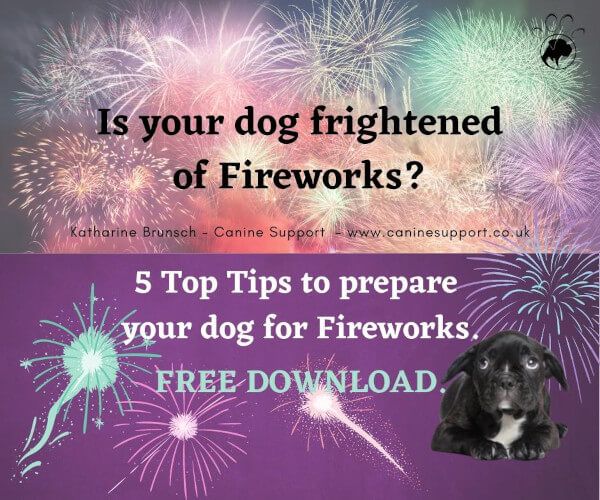 Free Dog Training Resources