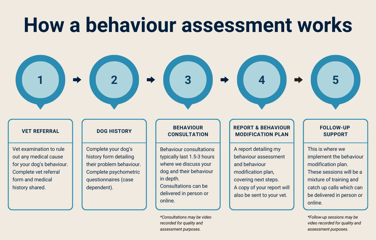 Behaviour Assessments