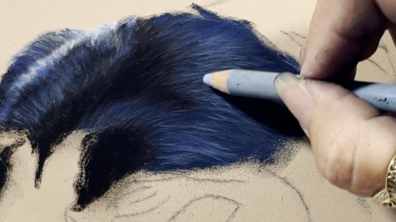 Drawing Fur - Black and Straight