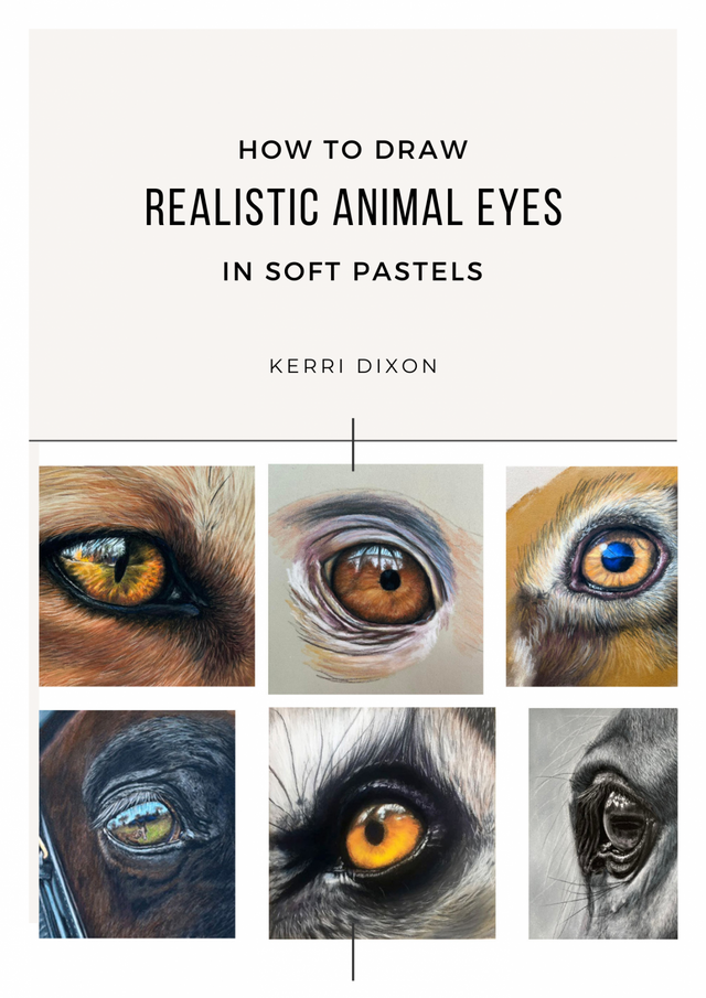 How to Draw Realistic Animal Eyes in Soft Pastels