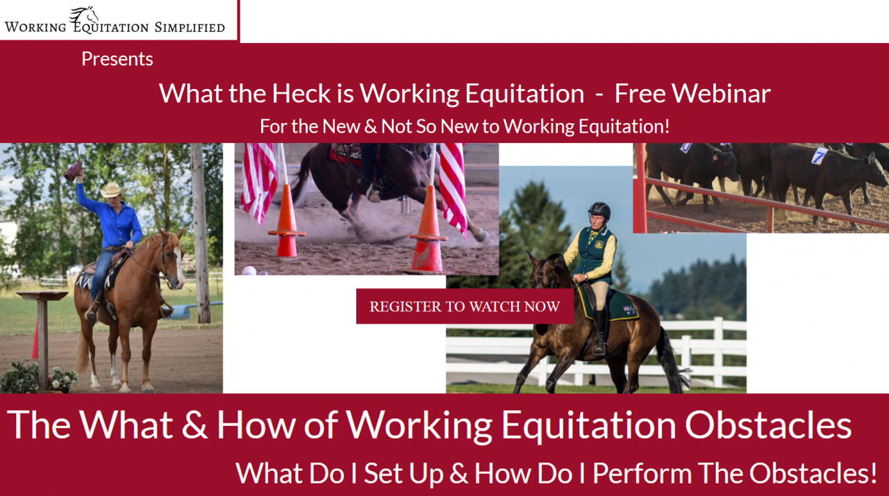 Introduction to Working Equitation and WE Obstacles