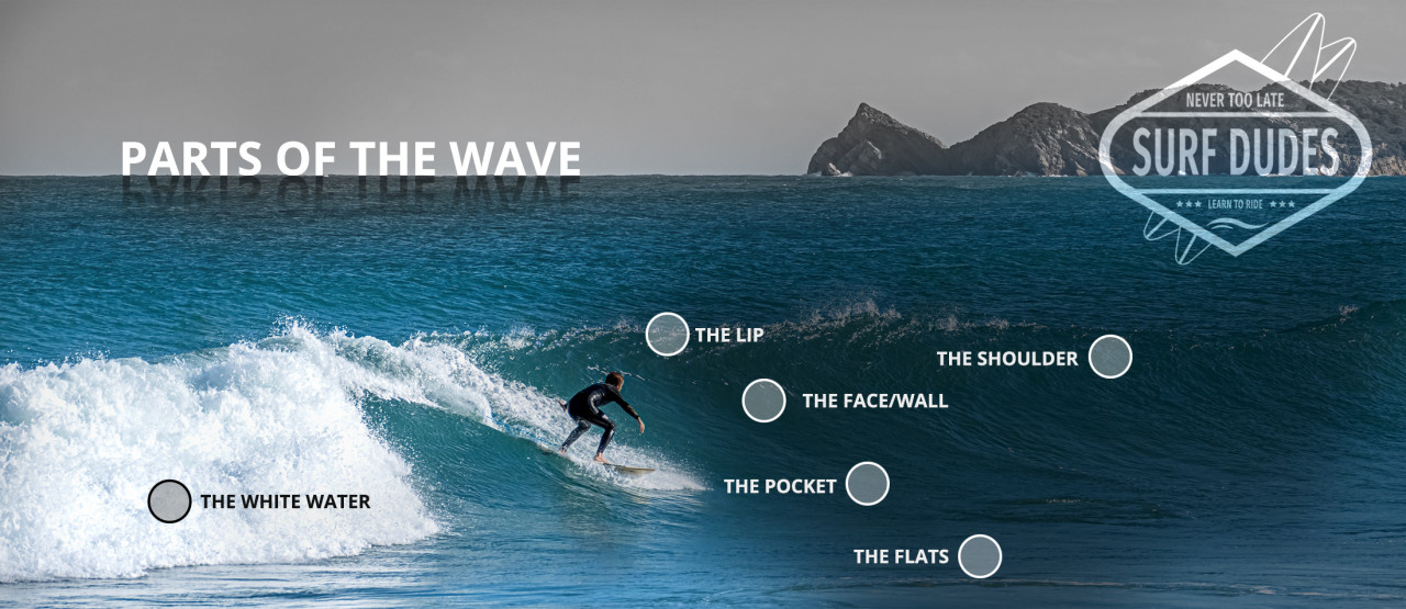 Learn Surfing Parts Of The Wave