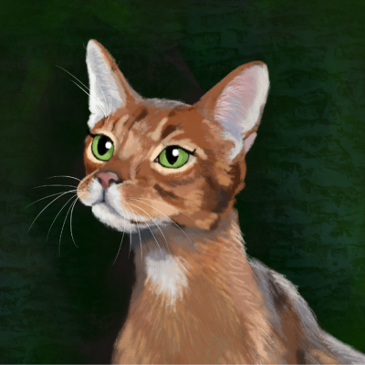 Cat portraits with Procreate