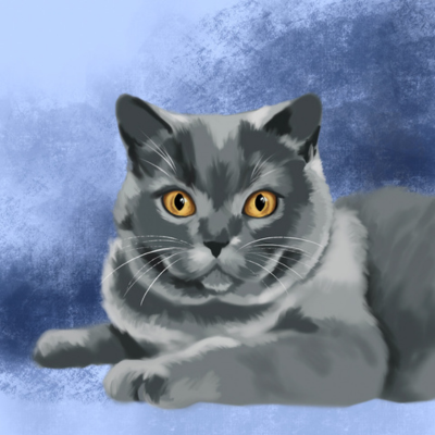 Cat portraits with Procreate