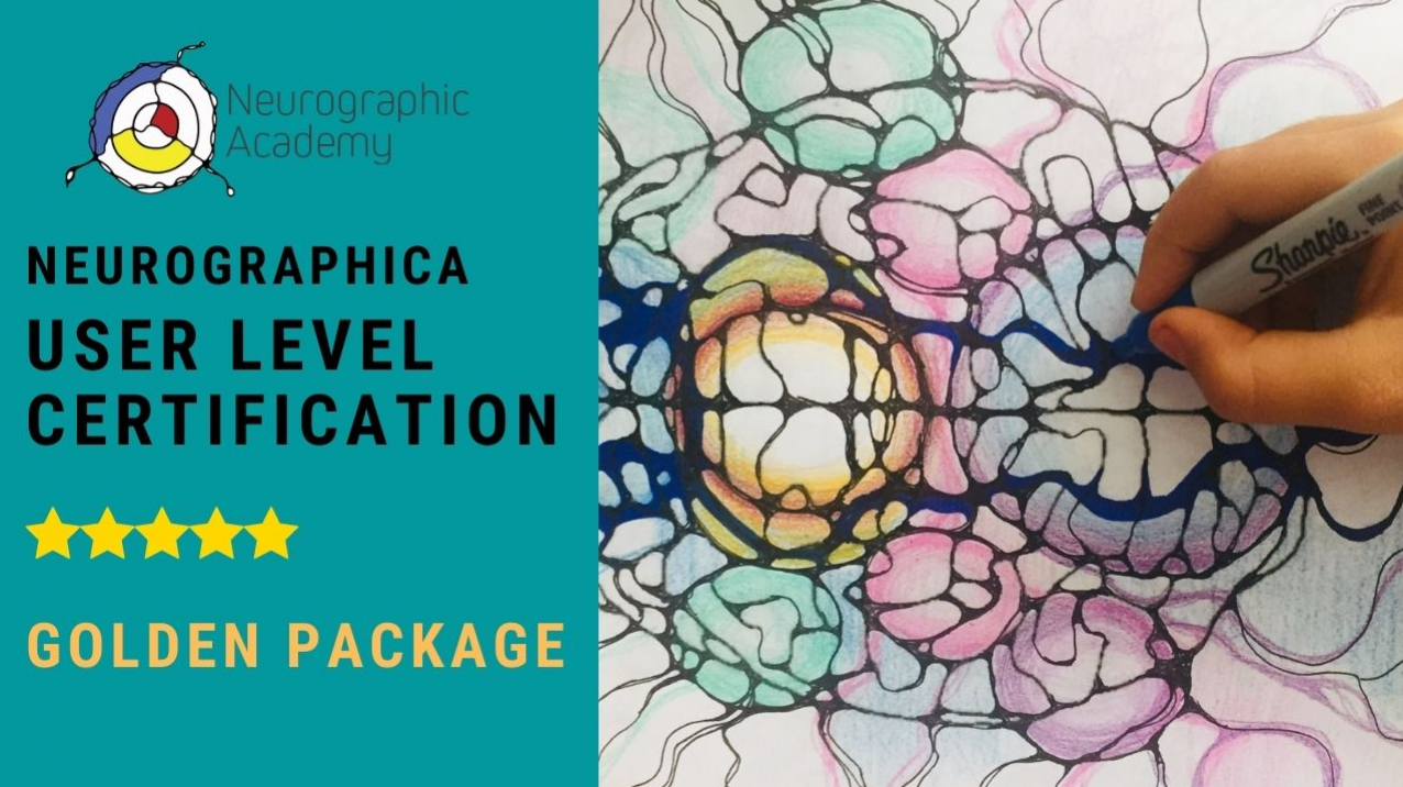 Neurographica Basic User Course: Algorithm 1