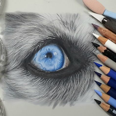 Learn to Draw with Colour Pencil - My Patreon