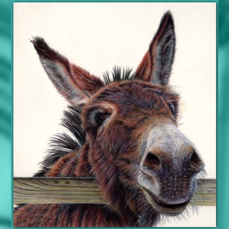 Learn to Draw with Colour Pencil - My Patreon