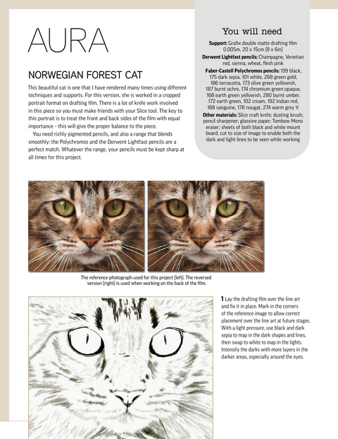 Drawing Animal Portraits in coloured pencil