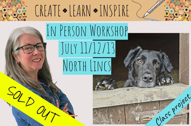 Colour Pencil Workshops - Create, Learn , Inspire