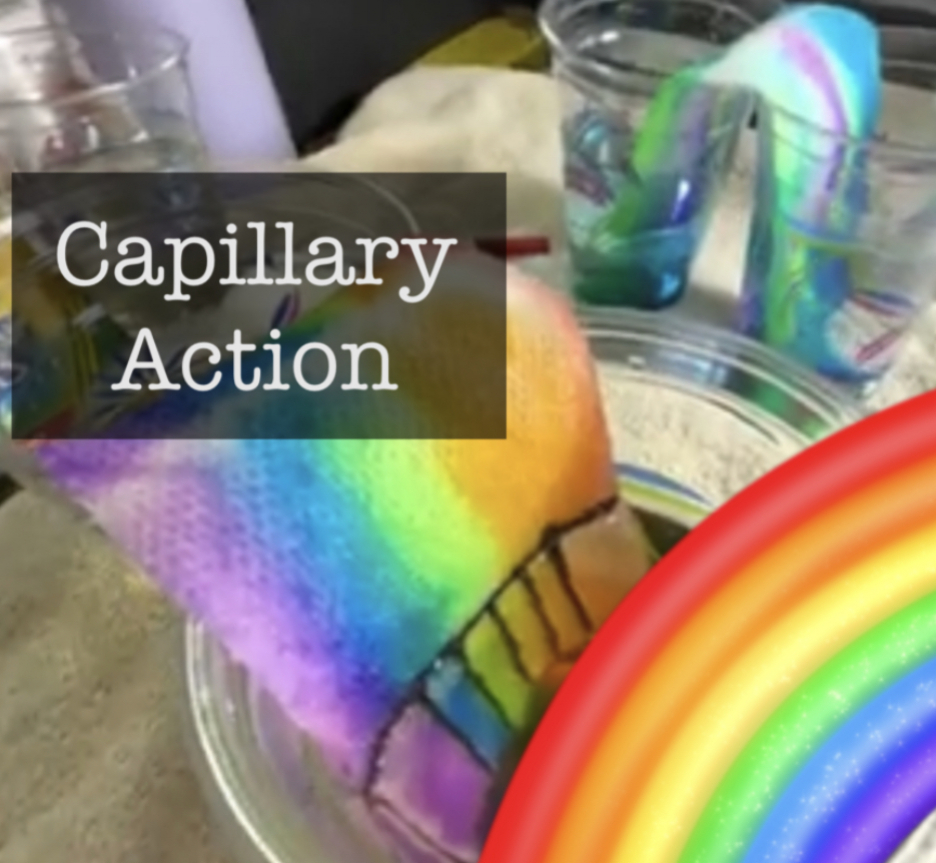 4 Fantastic Science Experiments