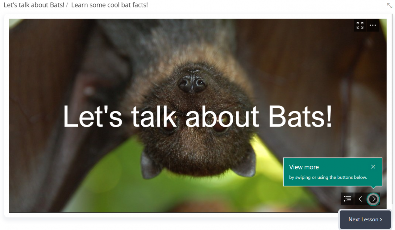 Uncover Fascinating Bat Facts and Create a Fictional Bat Tale (Self-Paced)