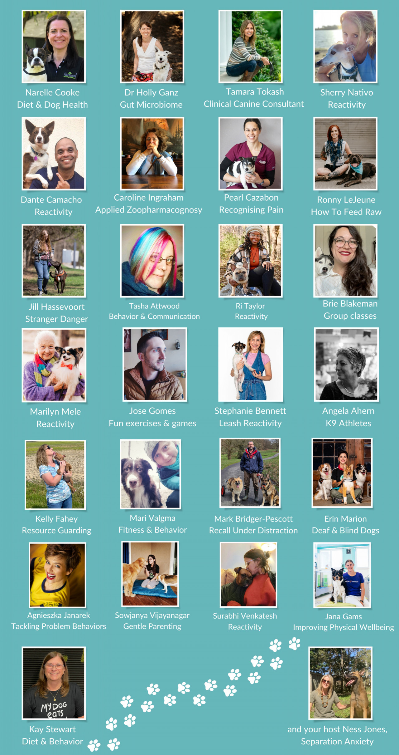 Decoding Your Canine Virtual Summit