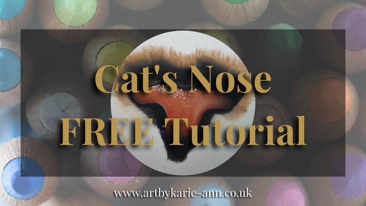 How to draw a cat's nose in pastel