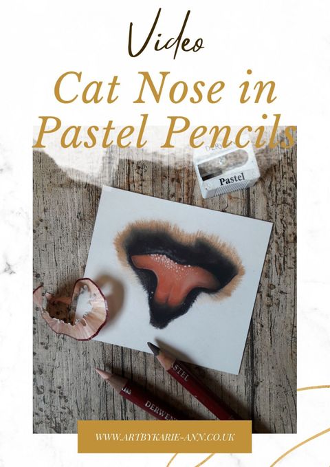 How to draw a cat's nose in pastel