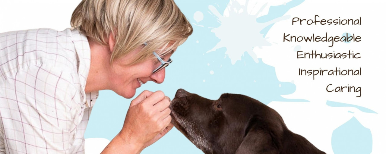 Puppy Plus Training and Behaviour Services | About Us