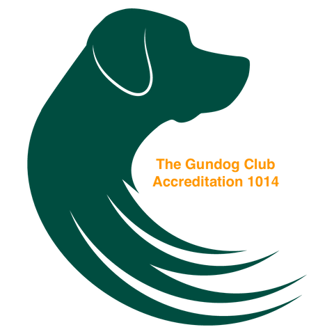 Puppy Plus Training and Behaviour Services | Gundog Training