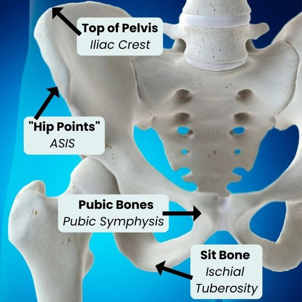 Neutral Pelvis in Yoga is Bio-mechanical Magic