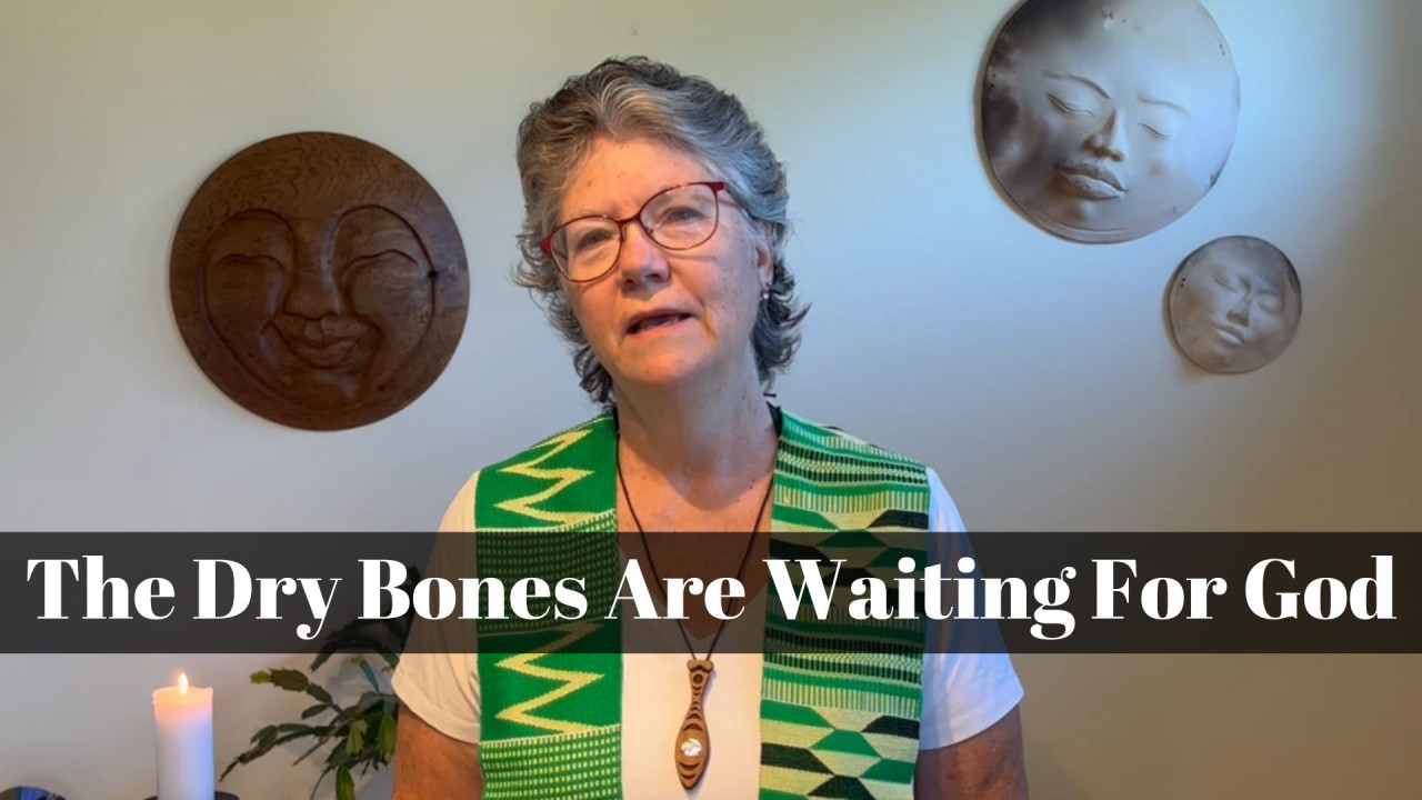 August 20 '23: Proper 15 worship package with video sermon