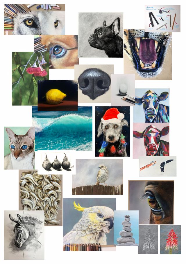 Learn Animal Art