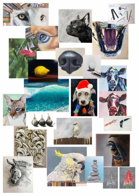 Learn Animal Art