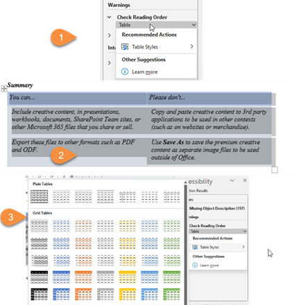 Microsoft Word - Using the Accessibility Checker