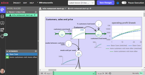 Strategy Dynamics for Leaders