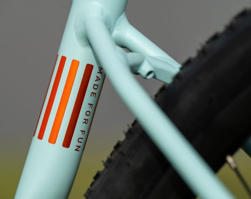 Marin Bikes | 2025 DSX 2