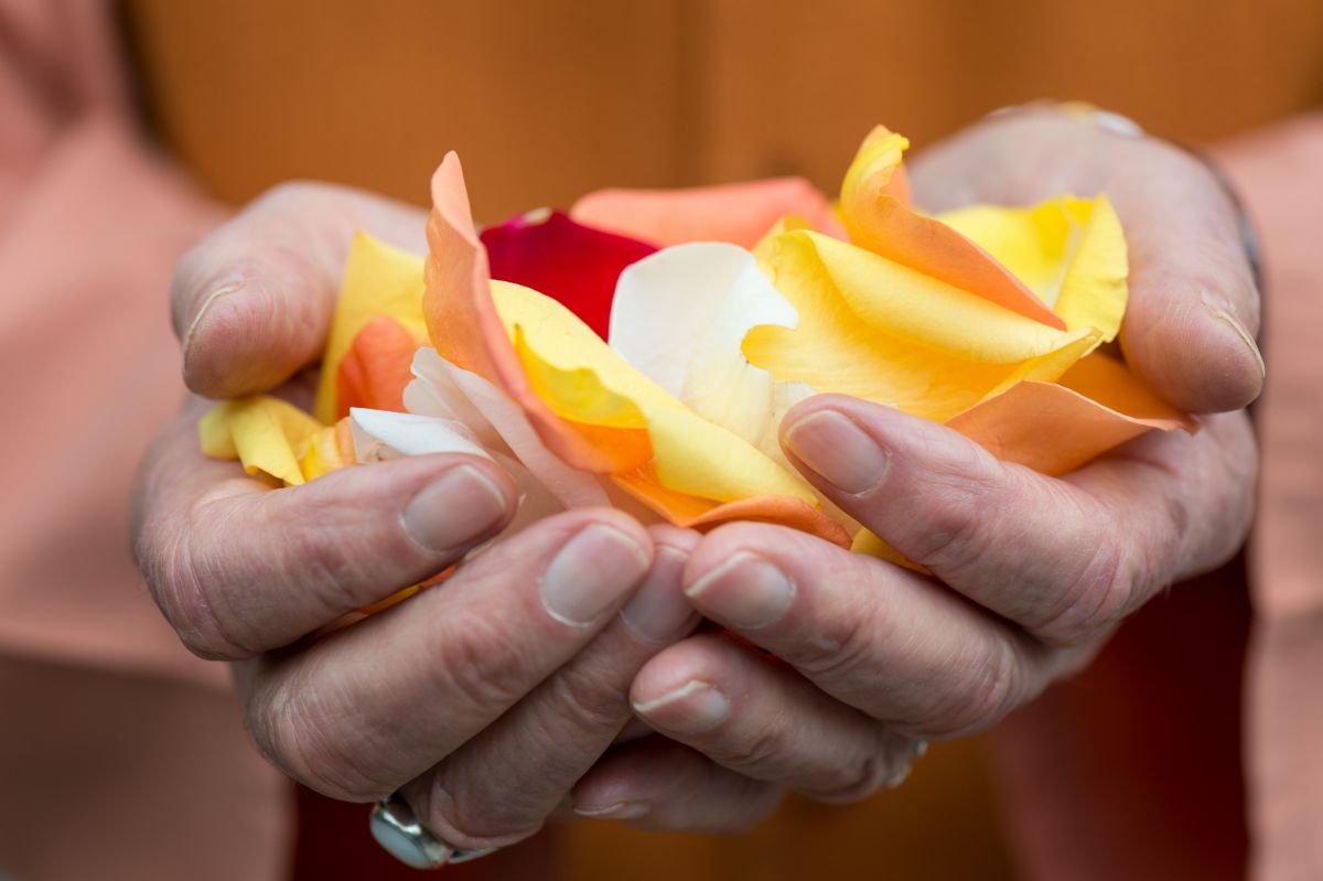 Video of Memorial Service | Self-Realization Fellowship