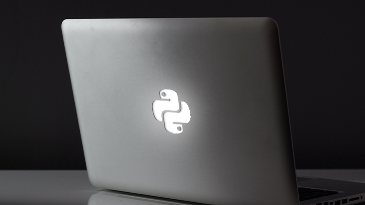 Python 3.10 Masterclass - From Noob To Pro - codedamn