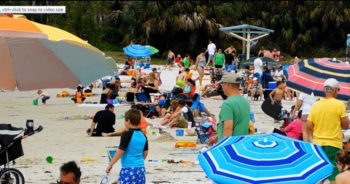 Best Beaches and Places to Swim | Discover Crystal River