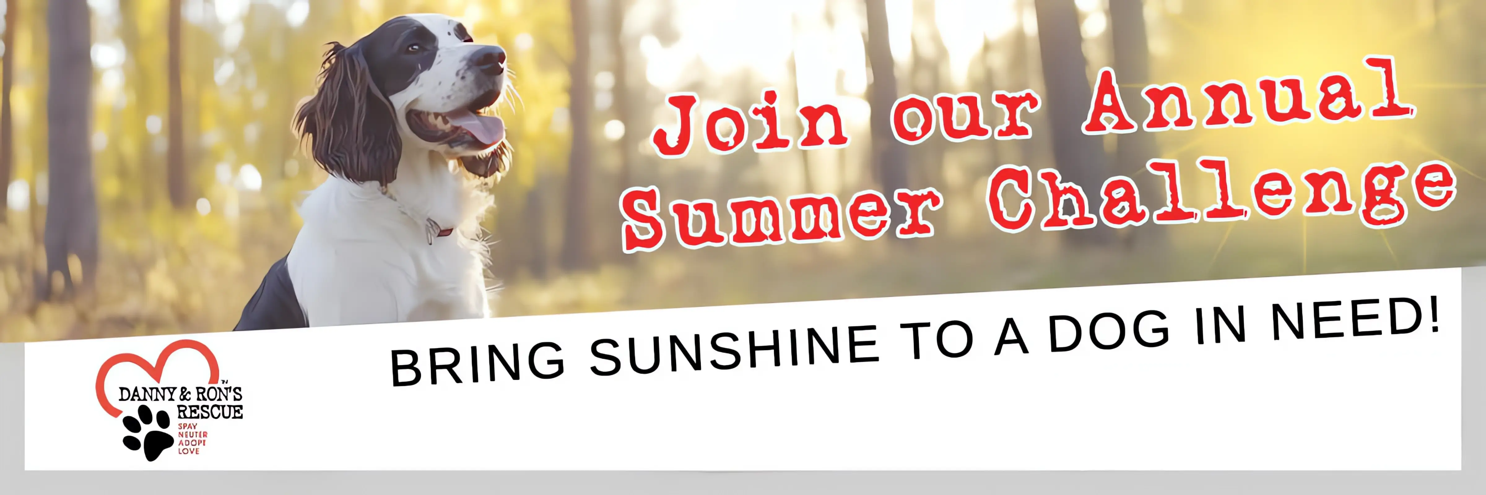 Danny & Ron's Rescue