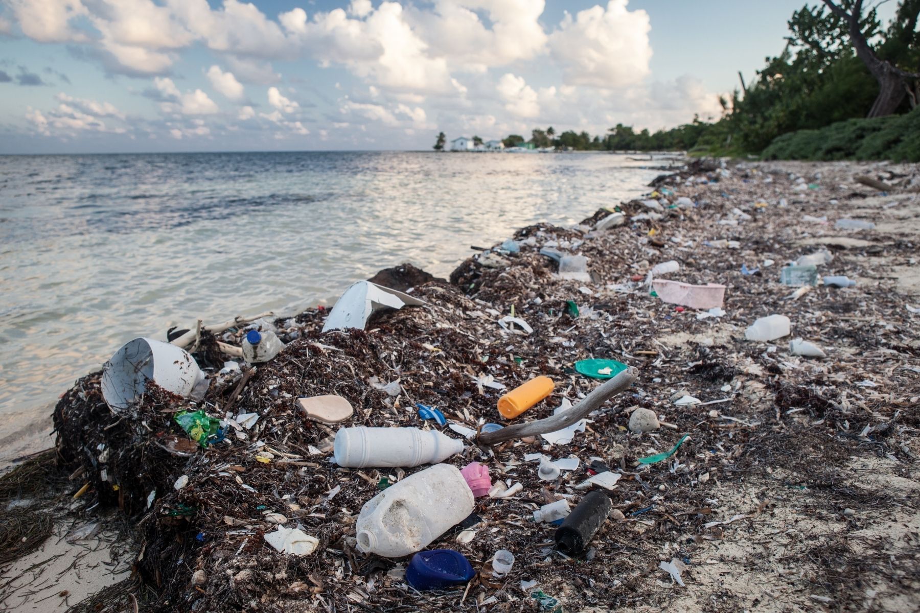 Tell Congress to ban single use plastics to protect our environment and ...