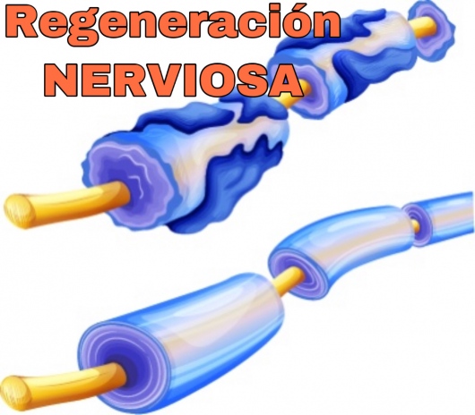 Dra. Doris Aline Parra Vitela Diabetólogo, Médico general, Toluca - Agenda cita | Doctoralia.com.mx