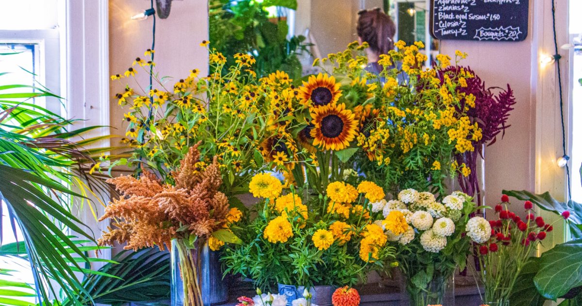 The Ultimate Durham Spring Guide | Discover Durham