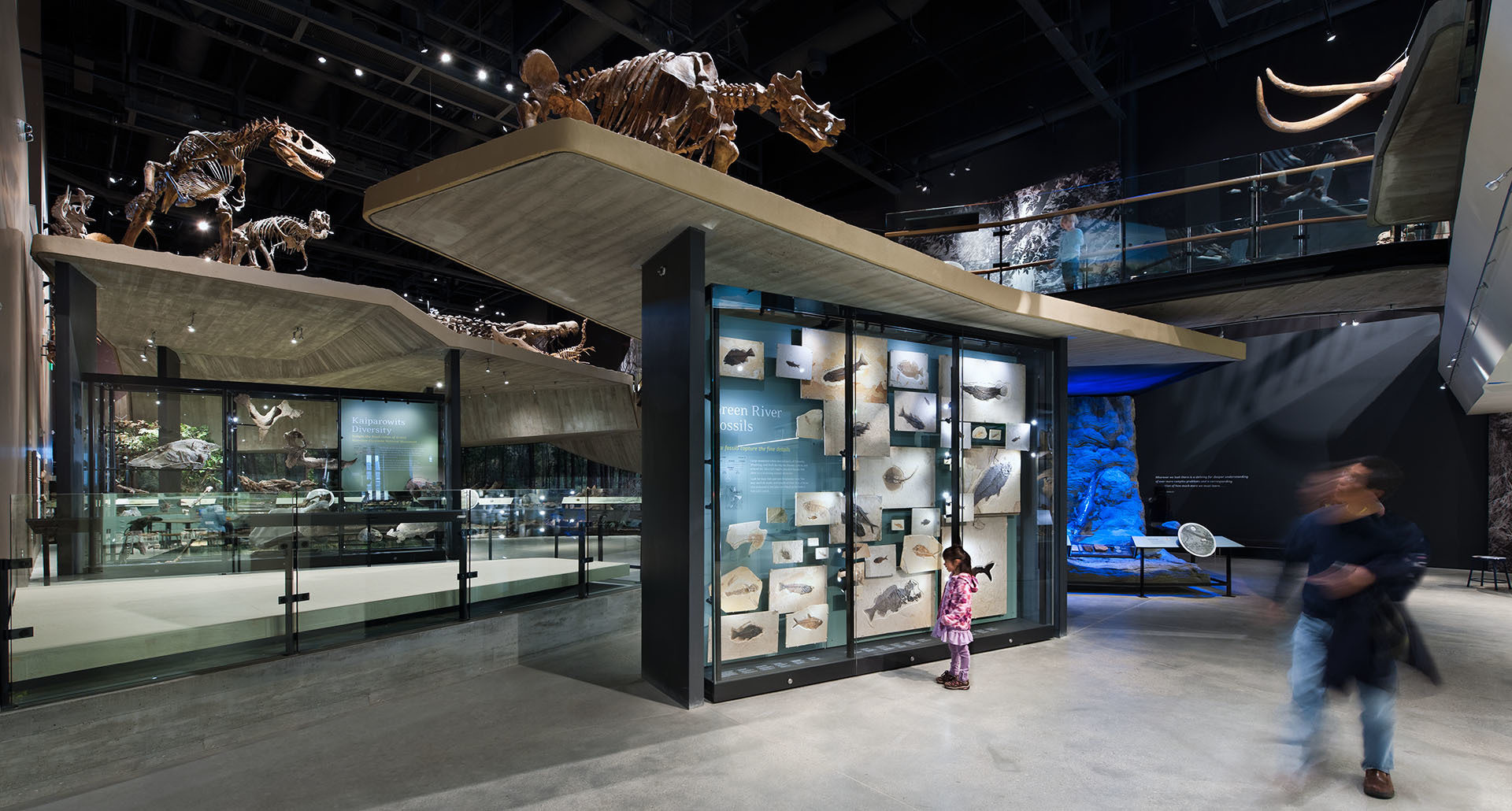 Natural History Museum of Utah - ennead