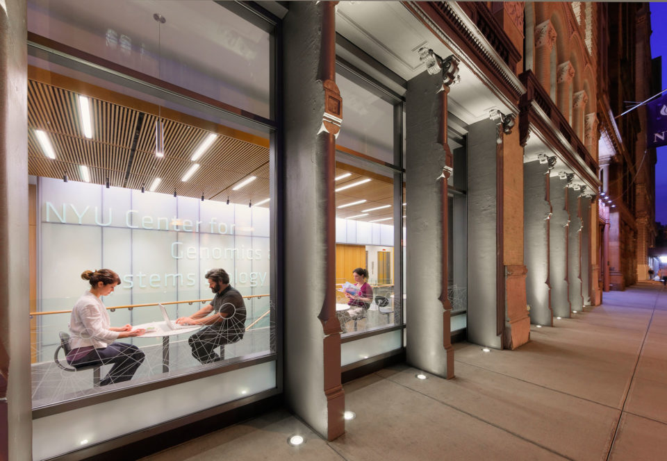 New York University, Center for Genomics and Systems Biology - ennead