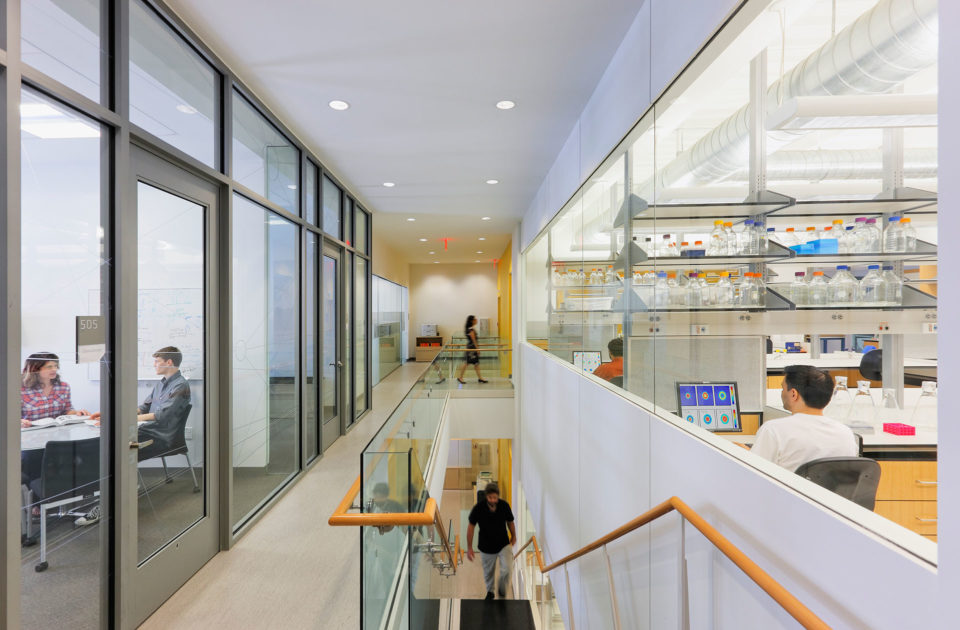 New York University, Center for Genomics and Systems Biology - ennead