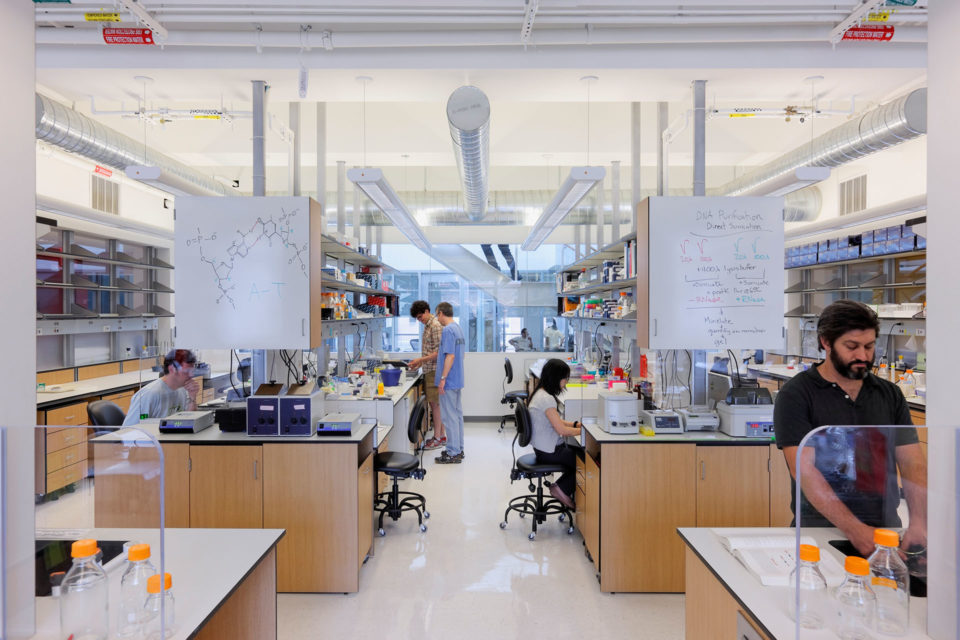 New York University, Center for Genomics and Systems Biology - ennead