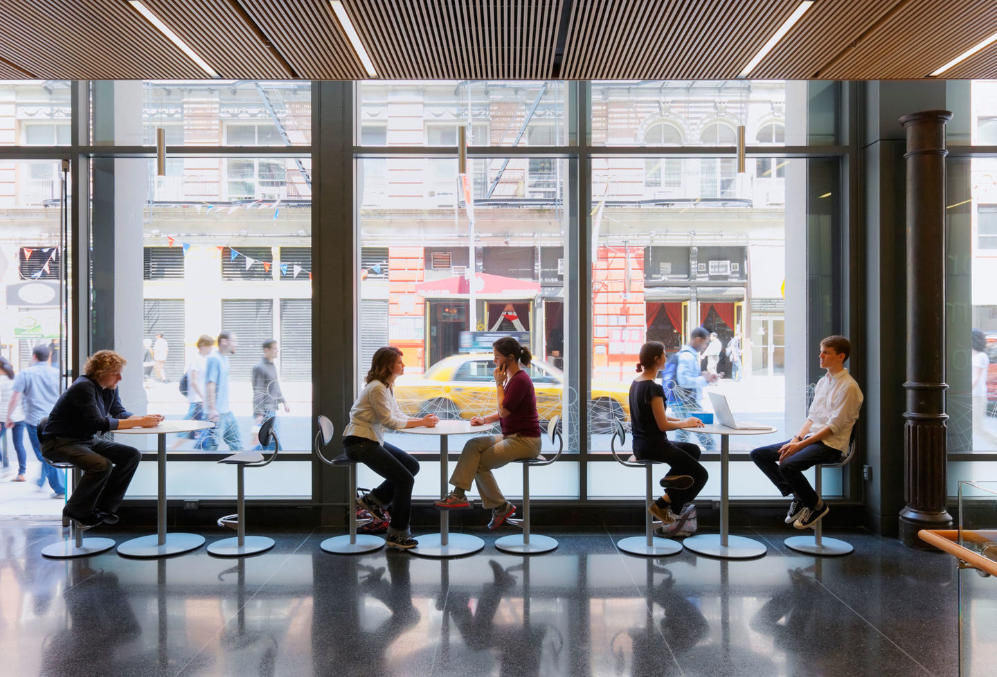 New York University, Center for Genomics and Systems Biology - ennead