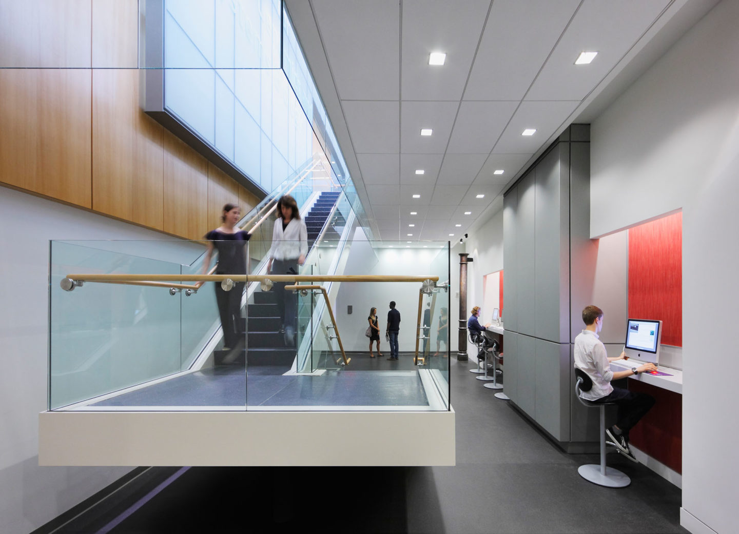 New York University, Center for Genomics and Systems Biology - ennead