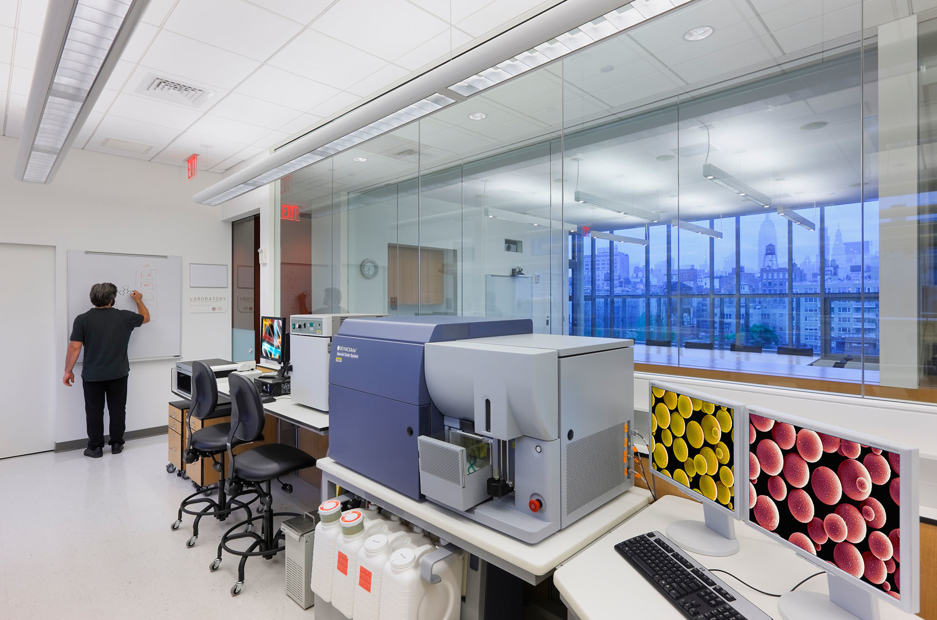 New York University, Center for Genomics and Systems Biology - ennead