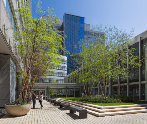 NYU Langone Health, Tisch Hospital Renovations and Addition - ennead