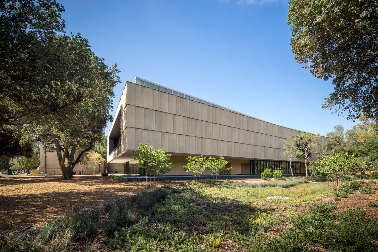 Anderson Collection at Stanford University - ennead