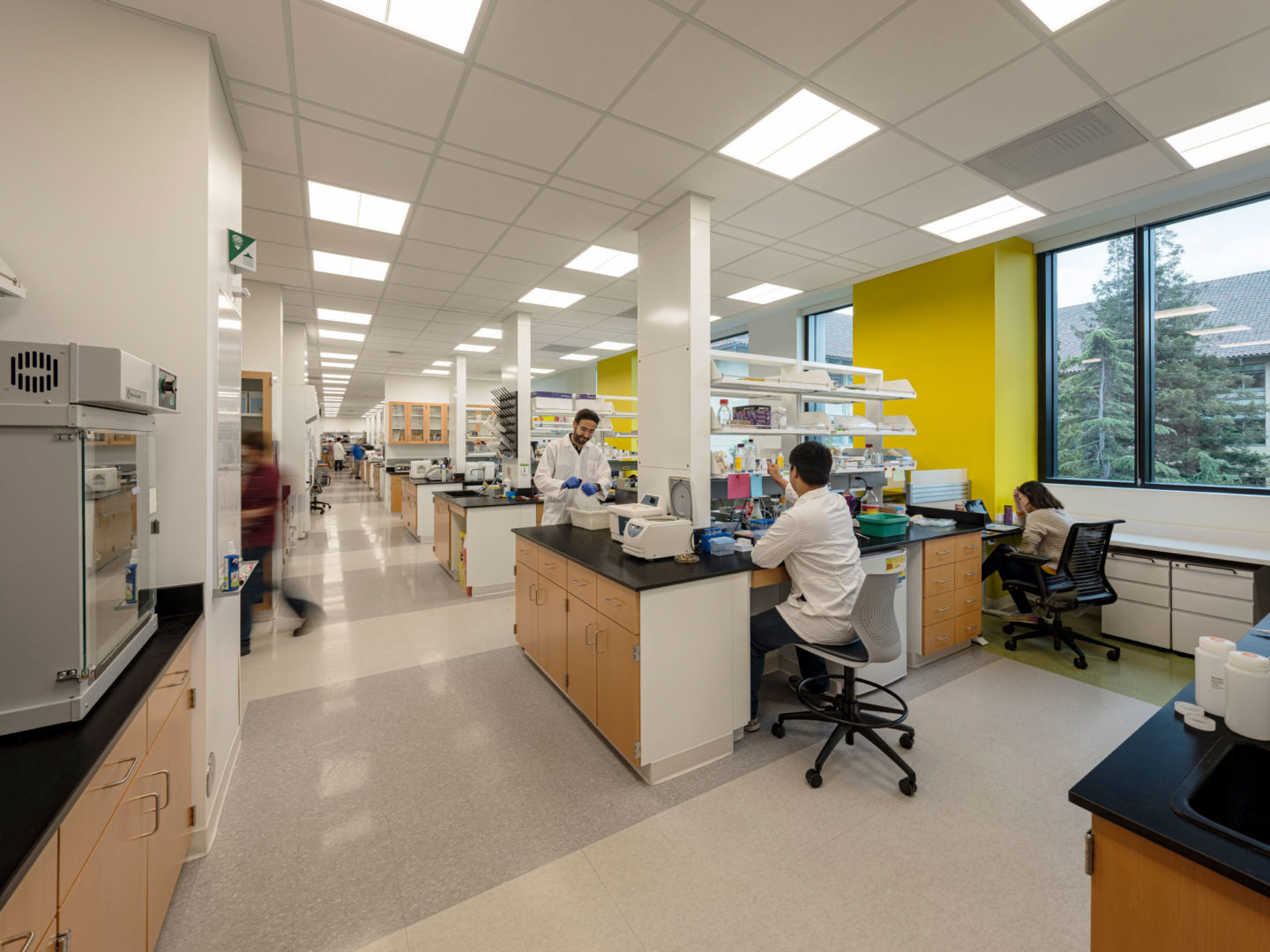 Stanford University, Bass Biology Building - ennead