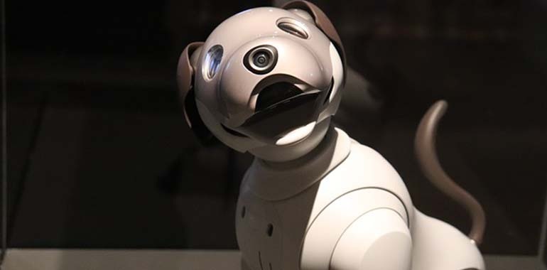 NUEVO PERRO ROBOT “SONY AIBO”: La INNOVACIÓN y AMOR en el PERRO ROBÓTICO 2021 - Todo Actual