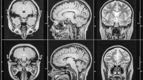 LMRT Training and Certification Exam Prep