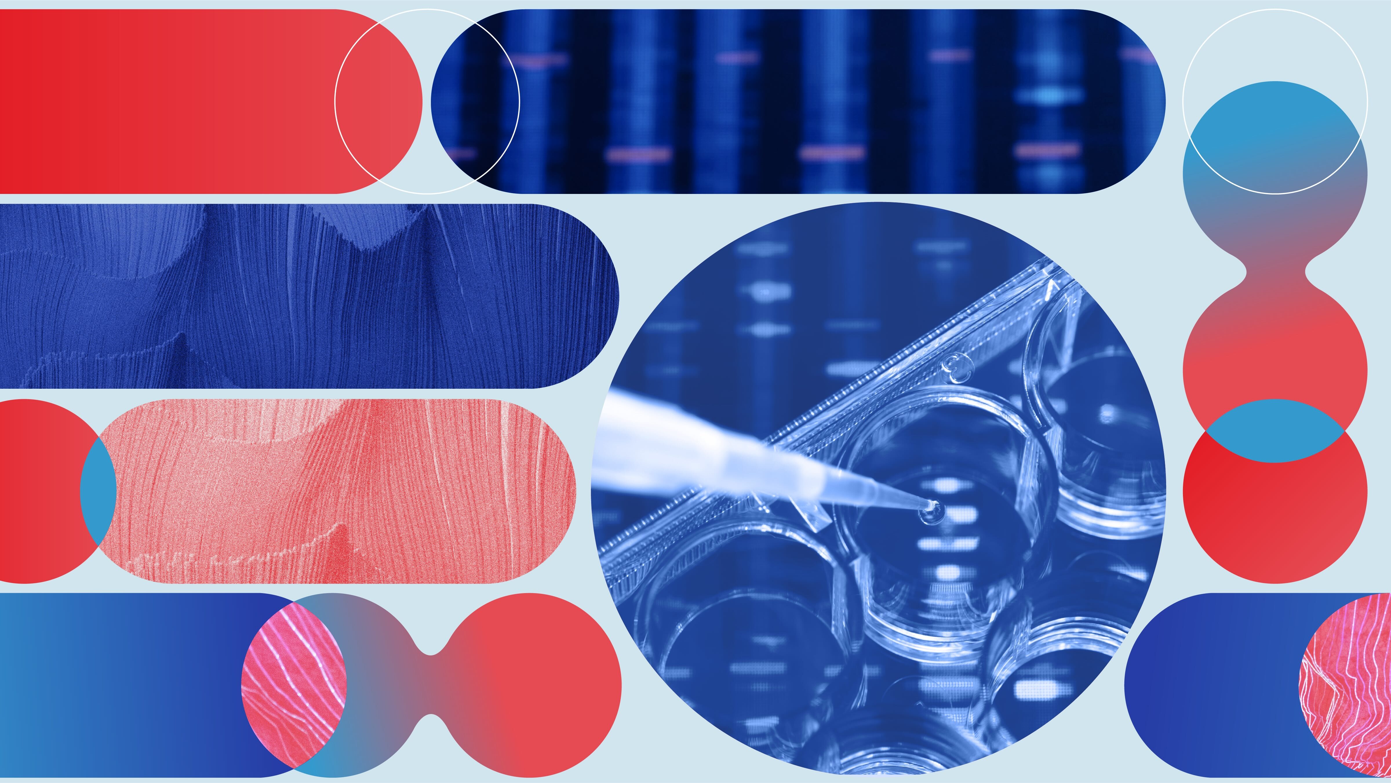 Biotech Matters: Great Data Competition and Interoperability with ...