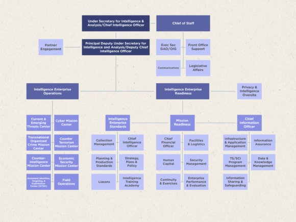 Reassessing Homeland Security Intelligence | Center for a New American ...