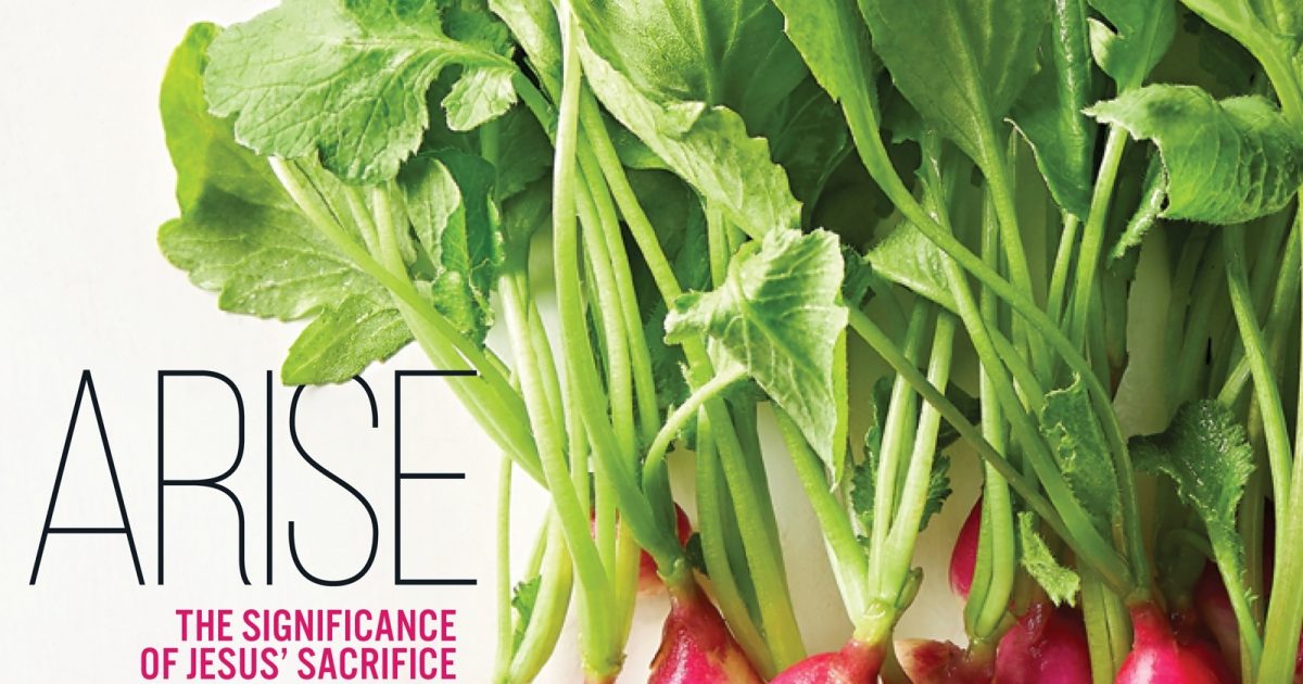 Spring 2020 Issue - Life:Beautiful Magazine