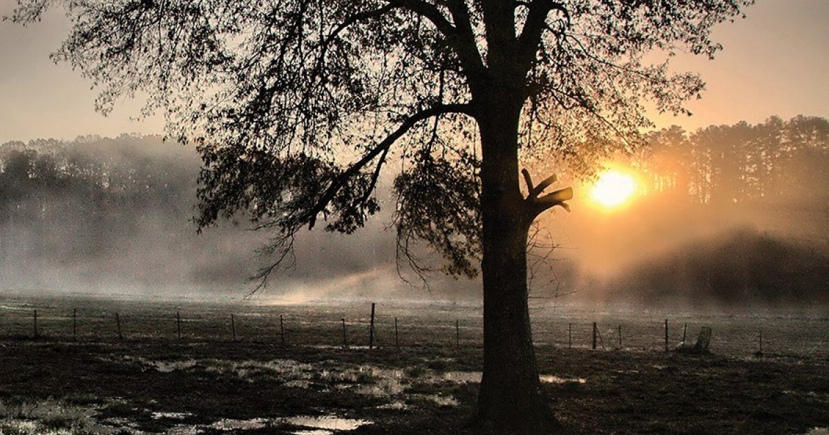 TAKING BETTER PICTURES: COMPOSITION, LIGHTING AND IMPACT - Visit Florence